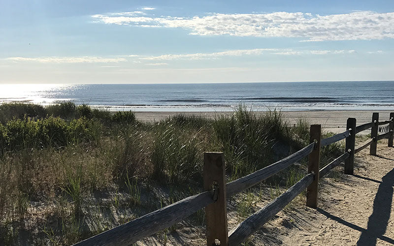 Beach Days – LABEL+thread